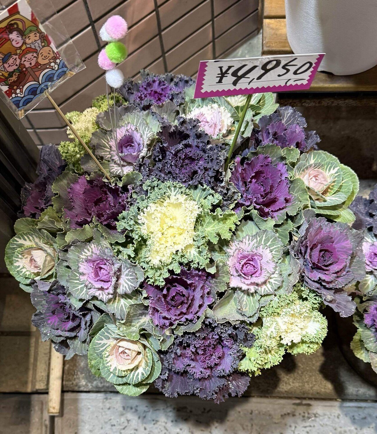 お花💐World🌺🌼🪻🪷🌷｜donchan1962