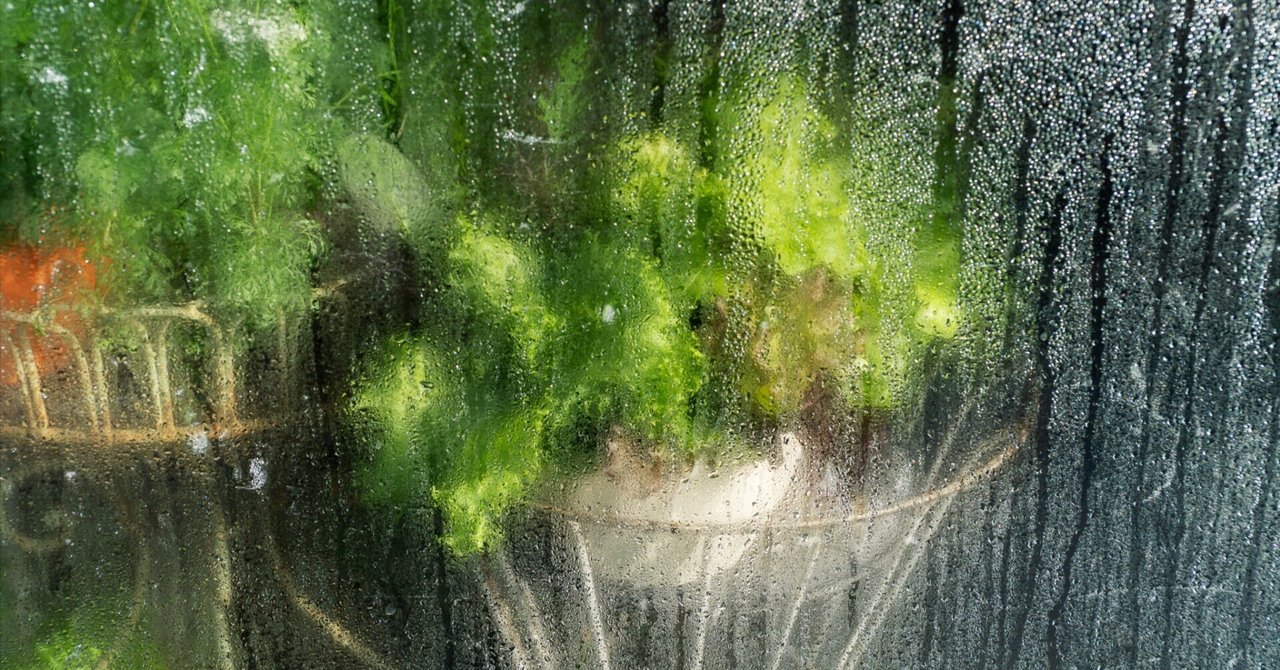 日誌「身銭を切っただけあって？」 #1375｜よしだそういちろうぐるーぷ