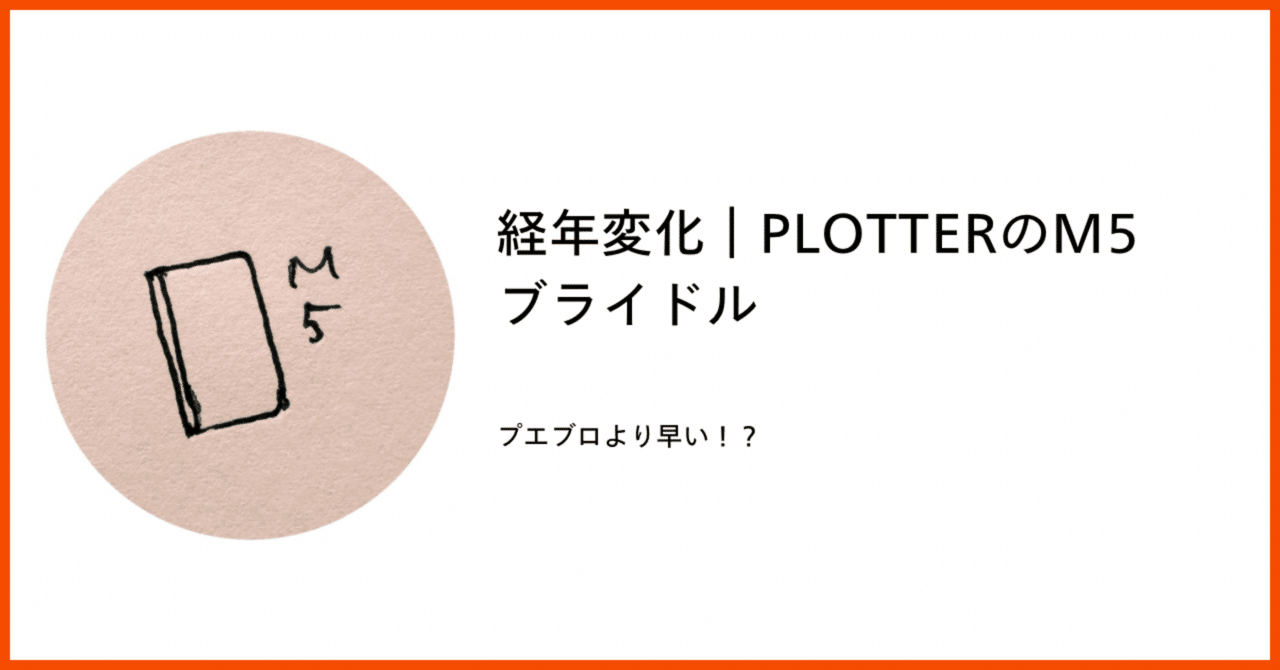 経年変化｜plotterのM5ブライドル｜ガラ