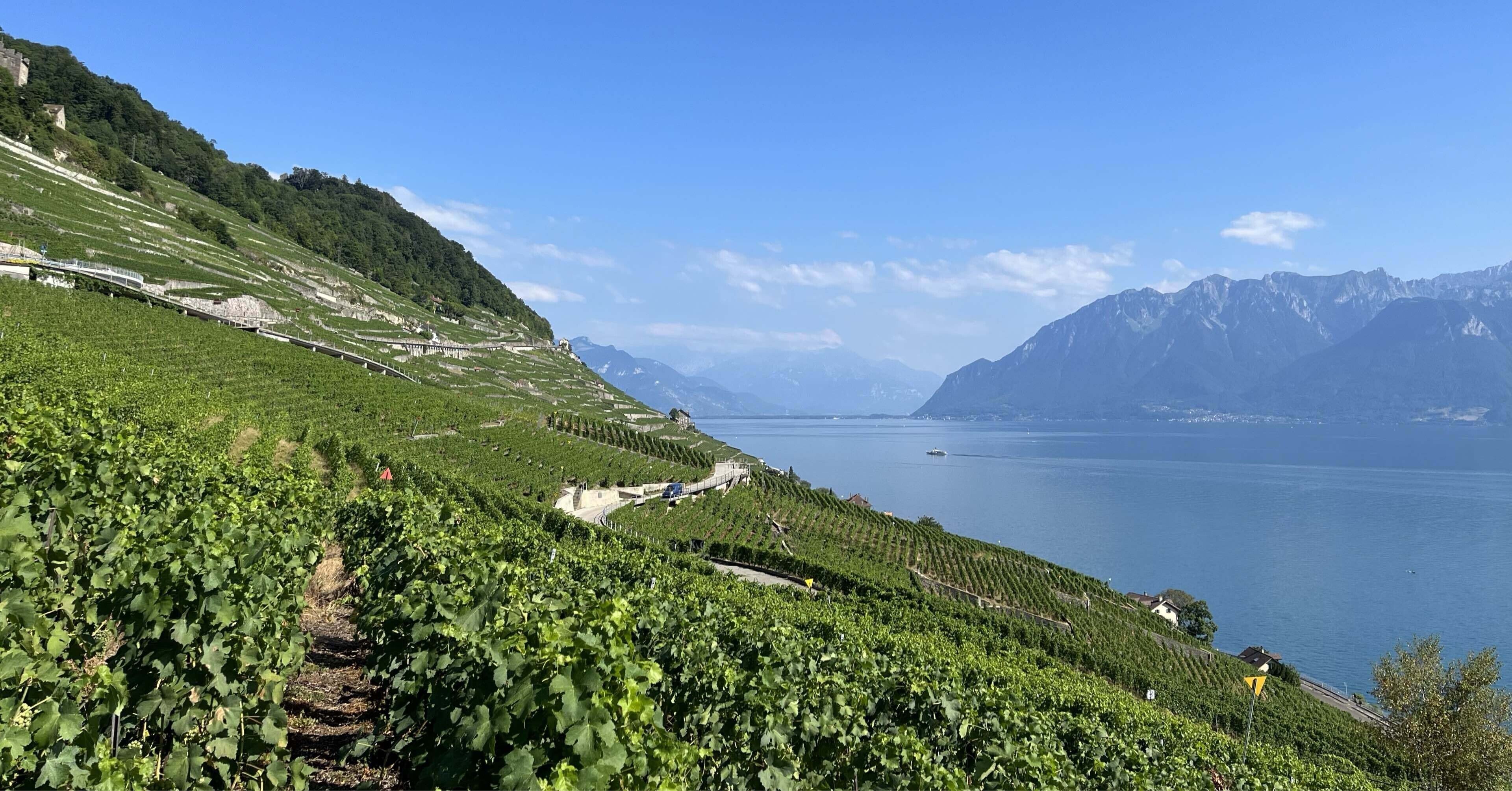 Daisuke Watanabe｜note