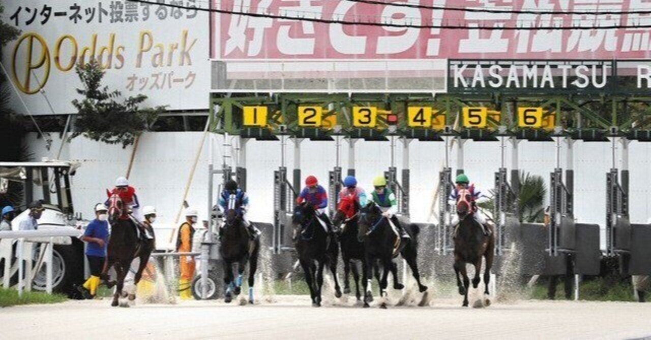 1231火大井10r 1630発走 東京2歳優駿牝馬👑｜単複の天ちゃん