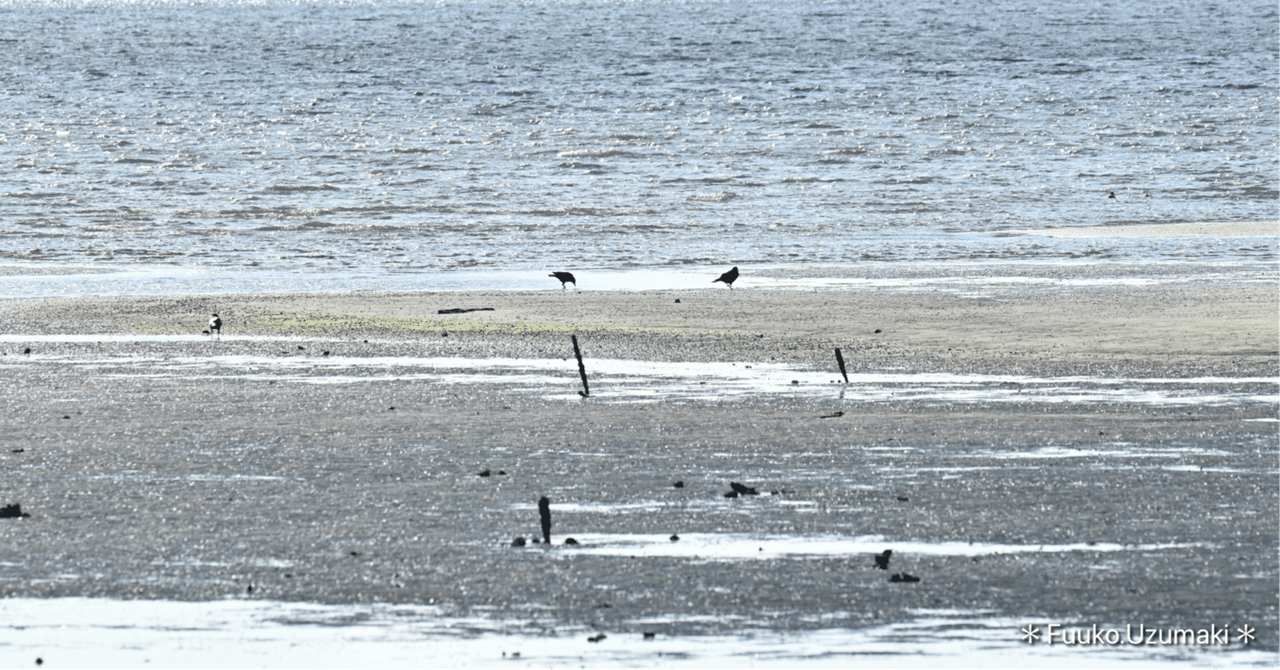 【小説】手紙（仮題）｜k-bata