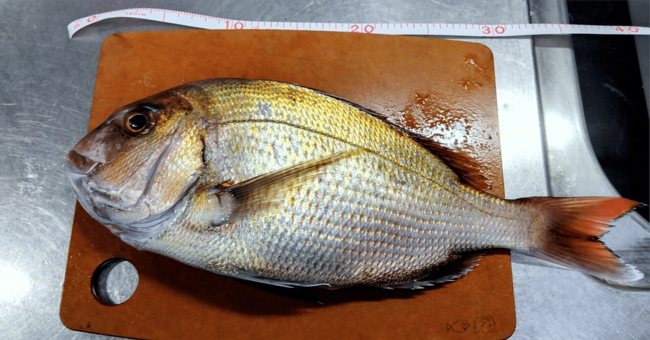 今年一年、ありがとうございます。｜k-bata