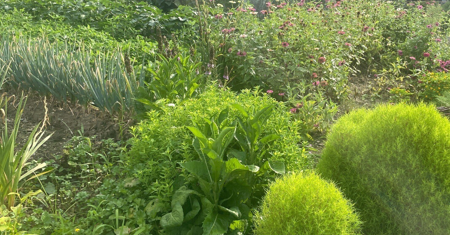 髙橋祐子 YUKO TAKAHASHI｜note