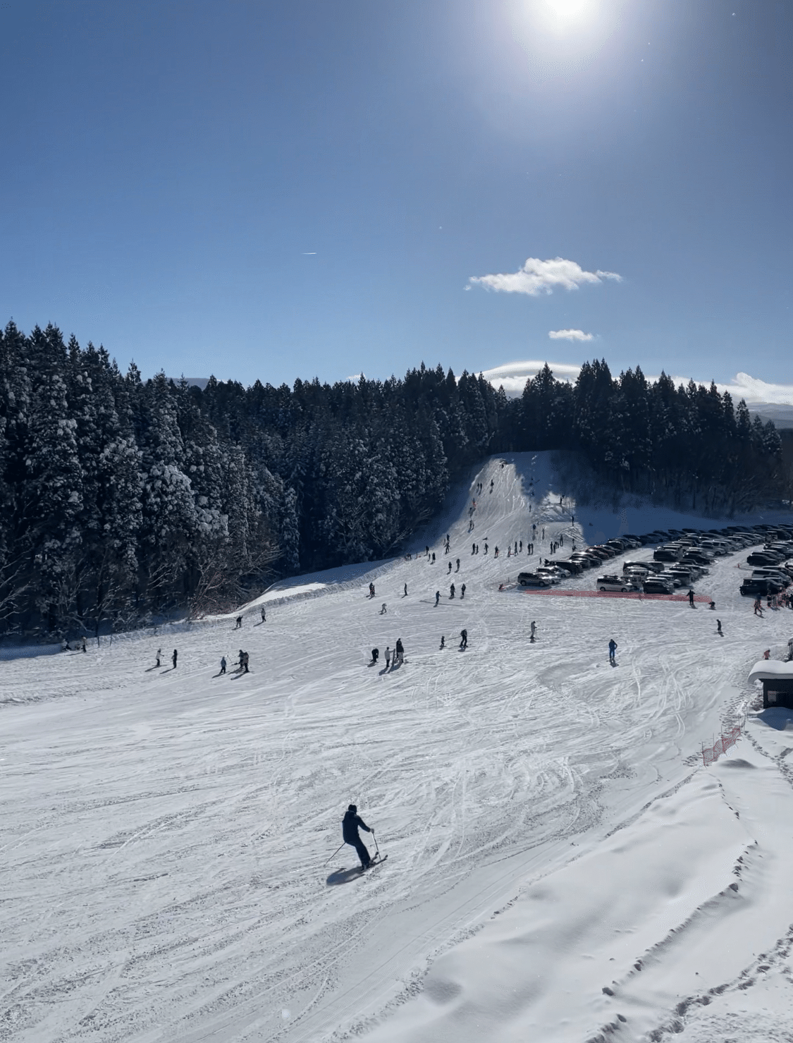 2024年 ありがとうございました。｜nika.log