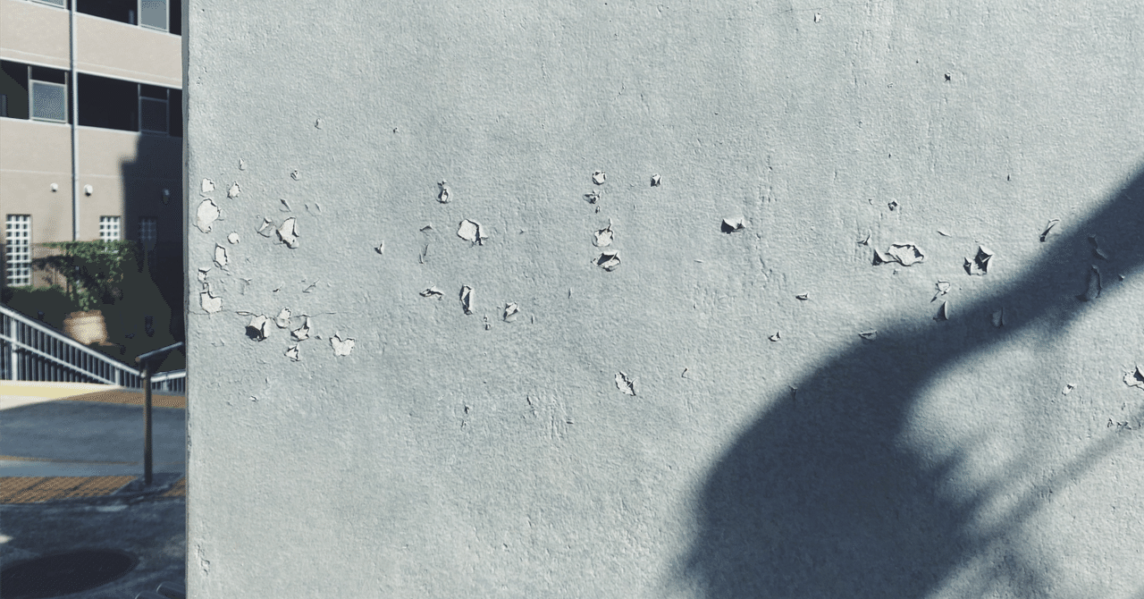 日記_20241220-1223 篩にかける｜20240913