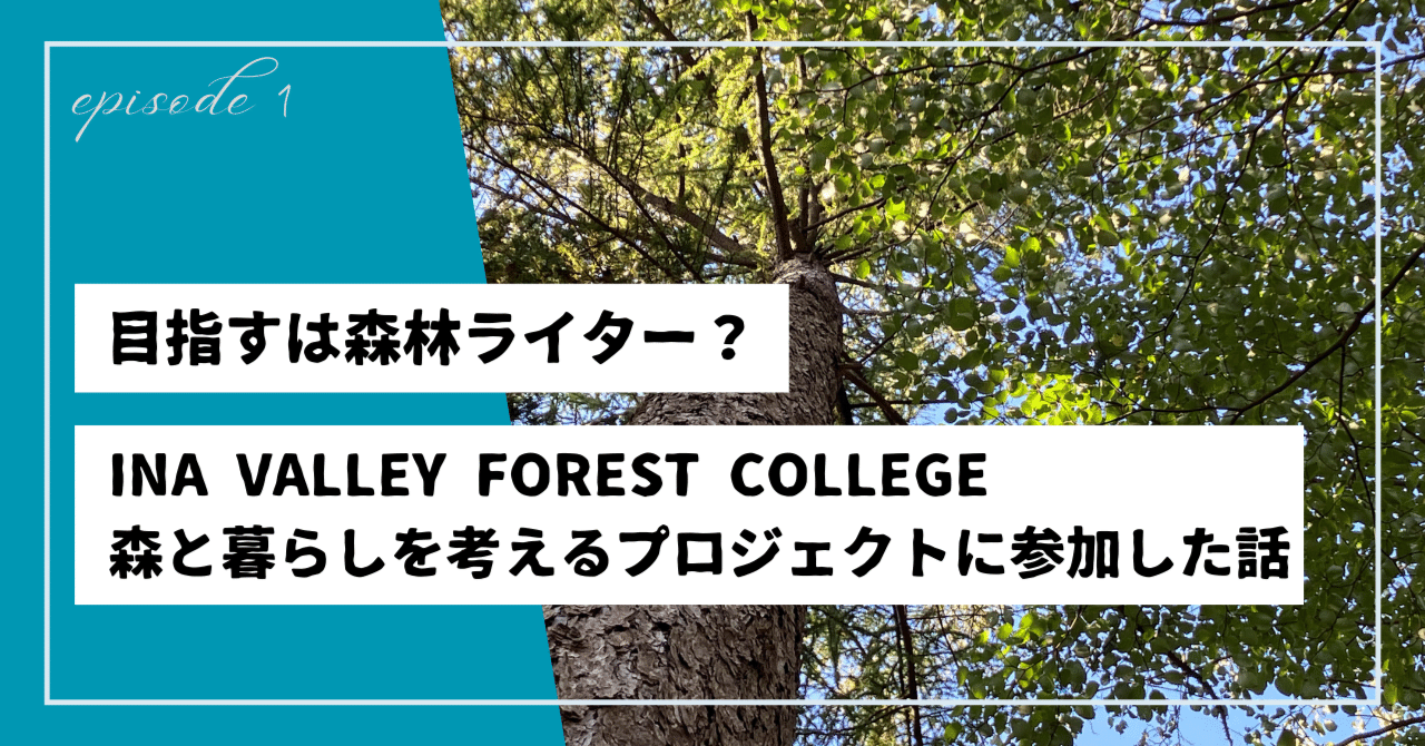 目指すは森林ライター！森と暮らしを考える「INA VALLEY FOREST COLLEGE」に参加した話｜栗原ともこ｜フリーライター×ヨガ講師