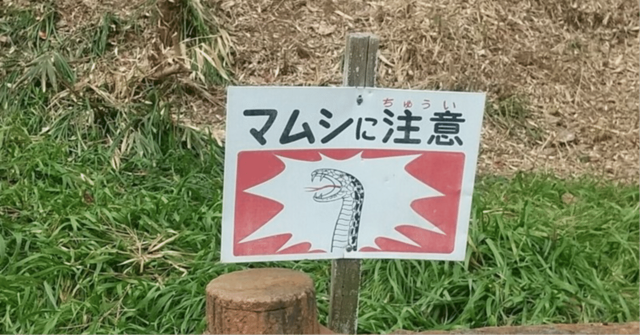 今年に関する雑感｜suzu_yama