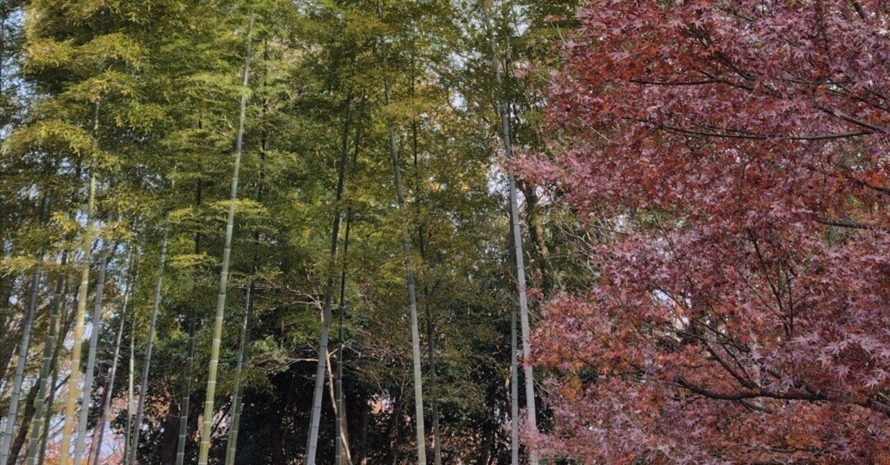 続・おかゆ｜yumi.ko