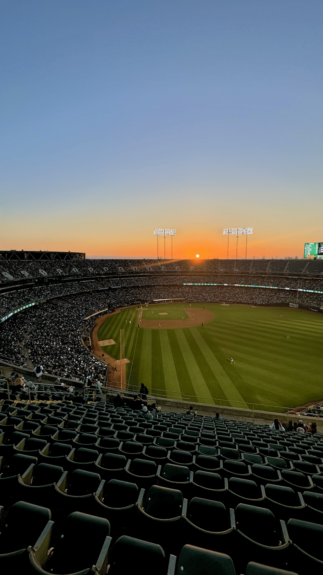 MLB30球団で1番面白くない球場で泣いた話｜梶原 駿｜Henka Inc. 代表