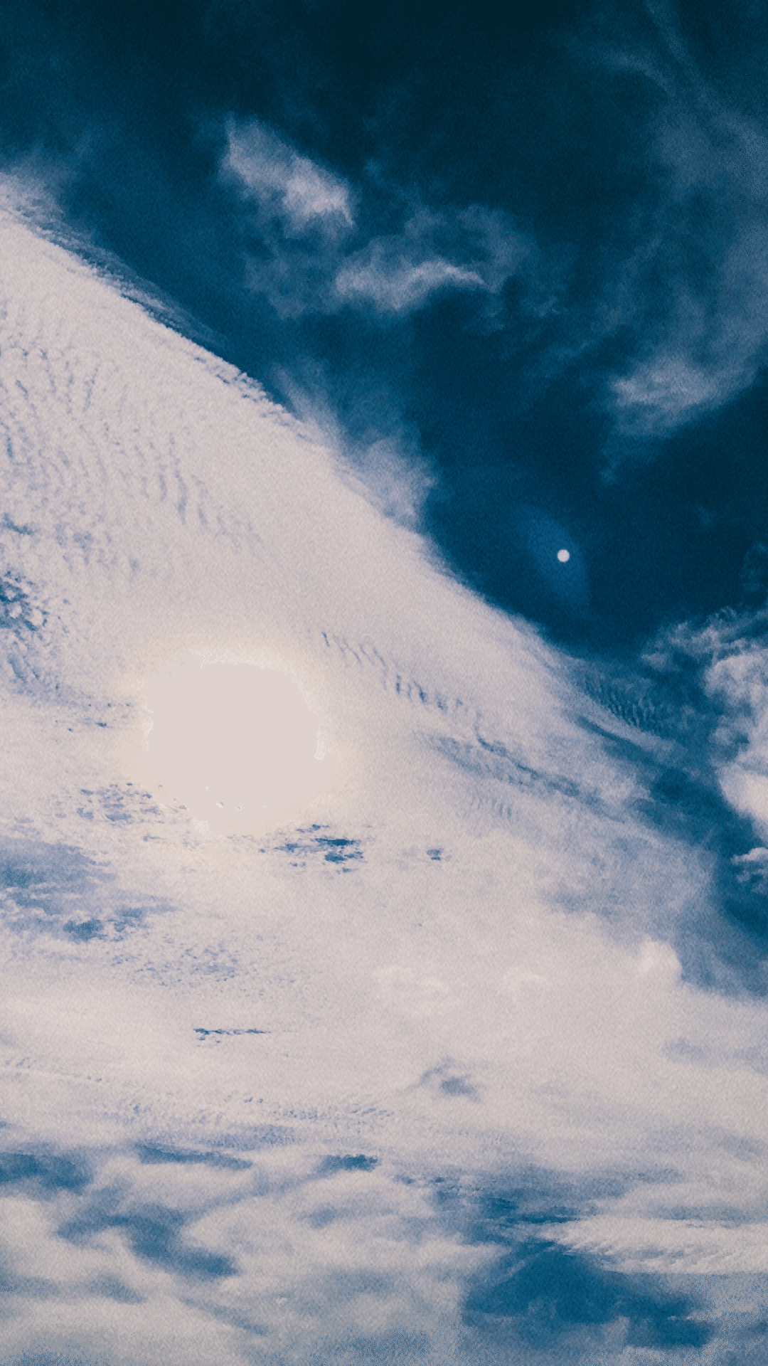 「この悲しみにのまれてしまわないために時々怒っている」｜risa kuroda