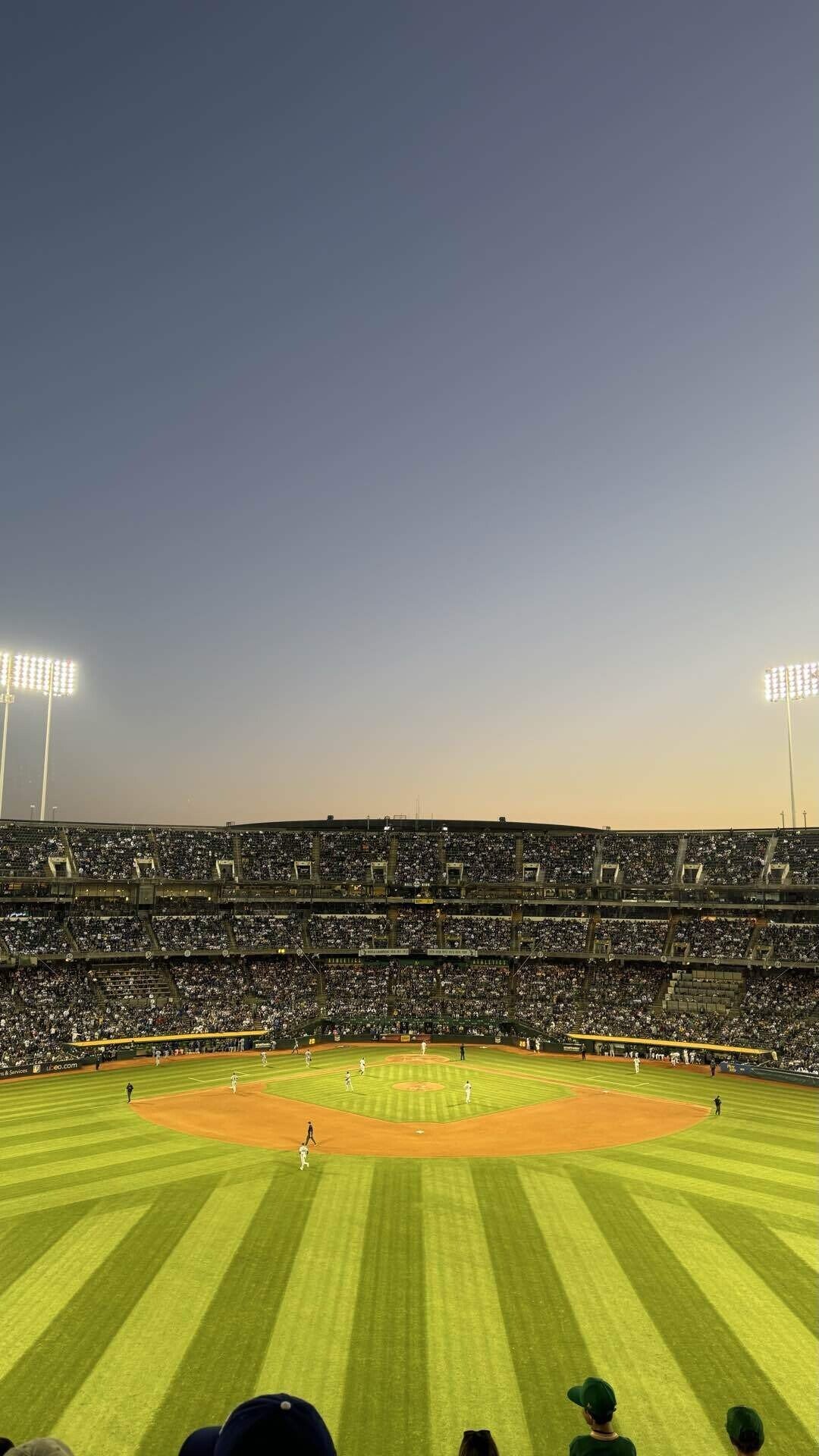 MLB30球団で1番面白くない球場で泣いた話｜梶原 駿｜Henka Inc. 代表