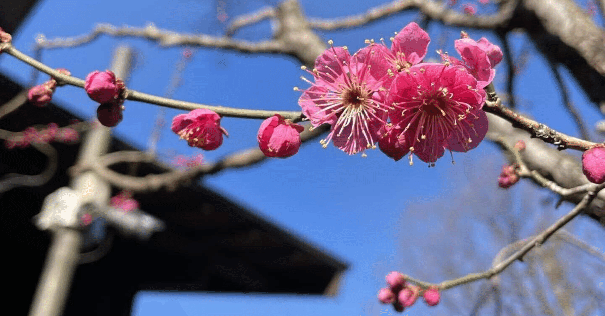 No．1469 今日を生きる｜仁の音