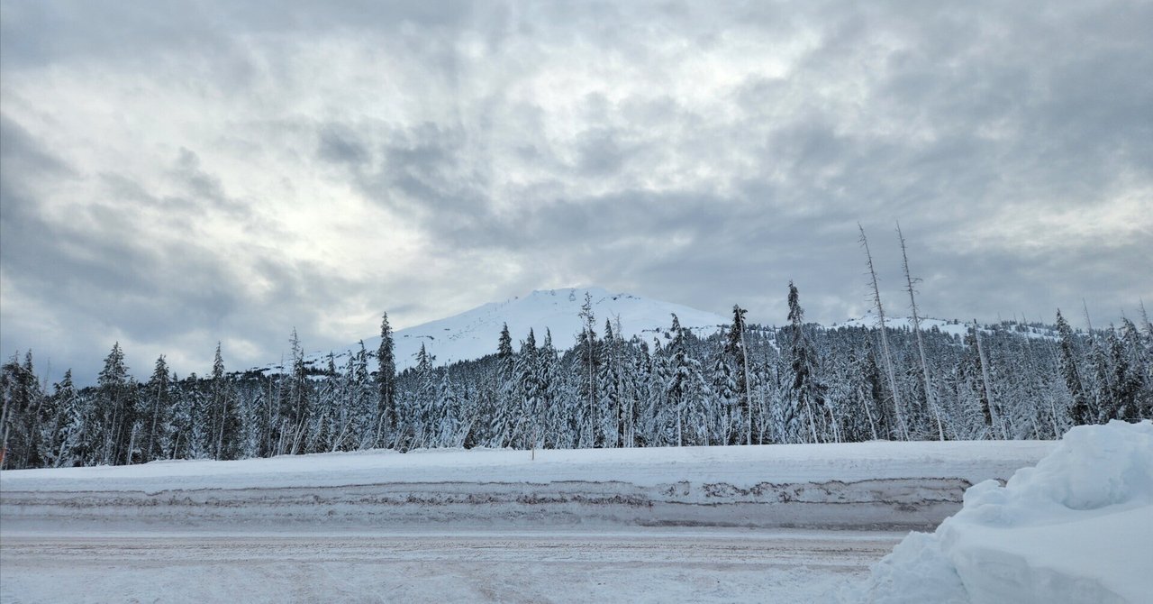 2024年最後の日｜Shoko