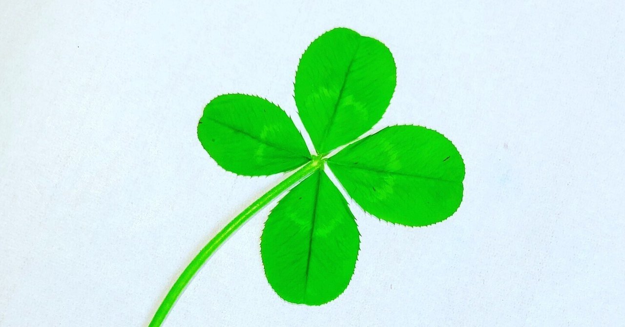 2025年、再始動｜COCO＊IRO MICA