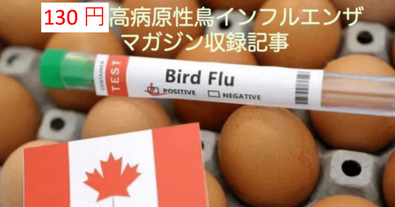 Dr Pilon (パイロン先生)｜note