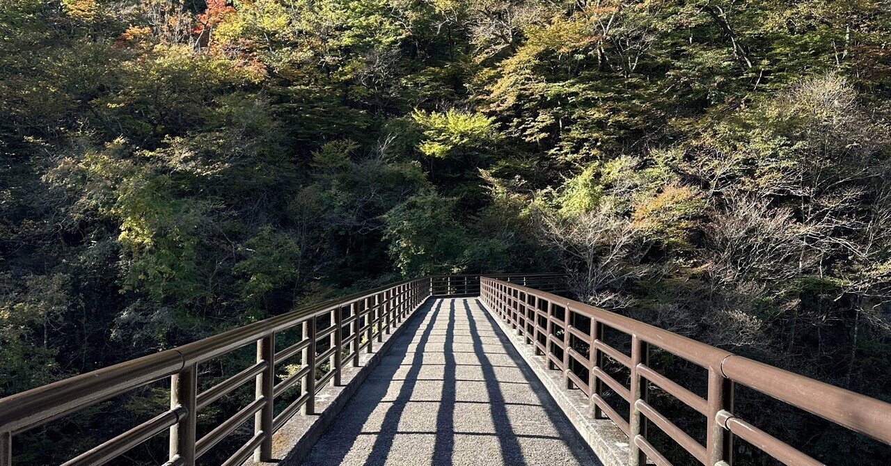 2024年の振り返りと2025年の抱負｜Achamoth