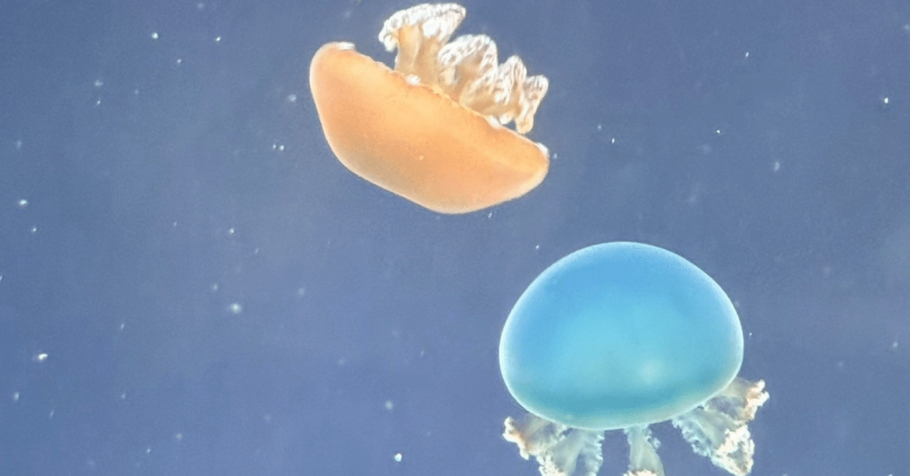 自己紹介｜はじめてのnote｜Yusei