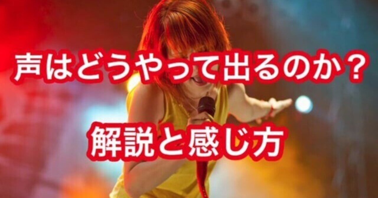 声が出る仕組みを知って、楽に声を出しましょう！｜Lady Bubbles