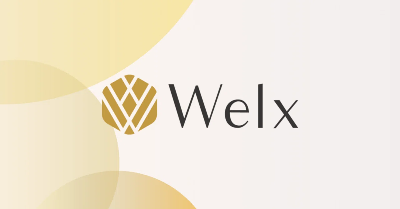 2024年の振り返りと新年のご挨拶｜Welx