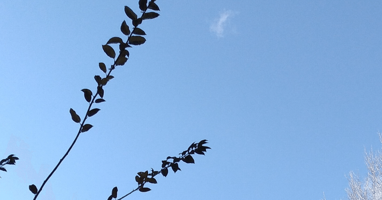 小指の短い私の生活1｜Naoko