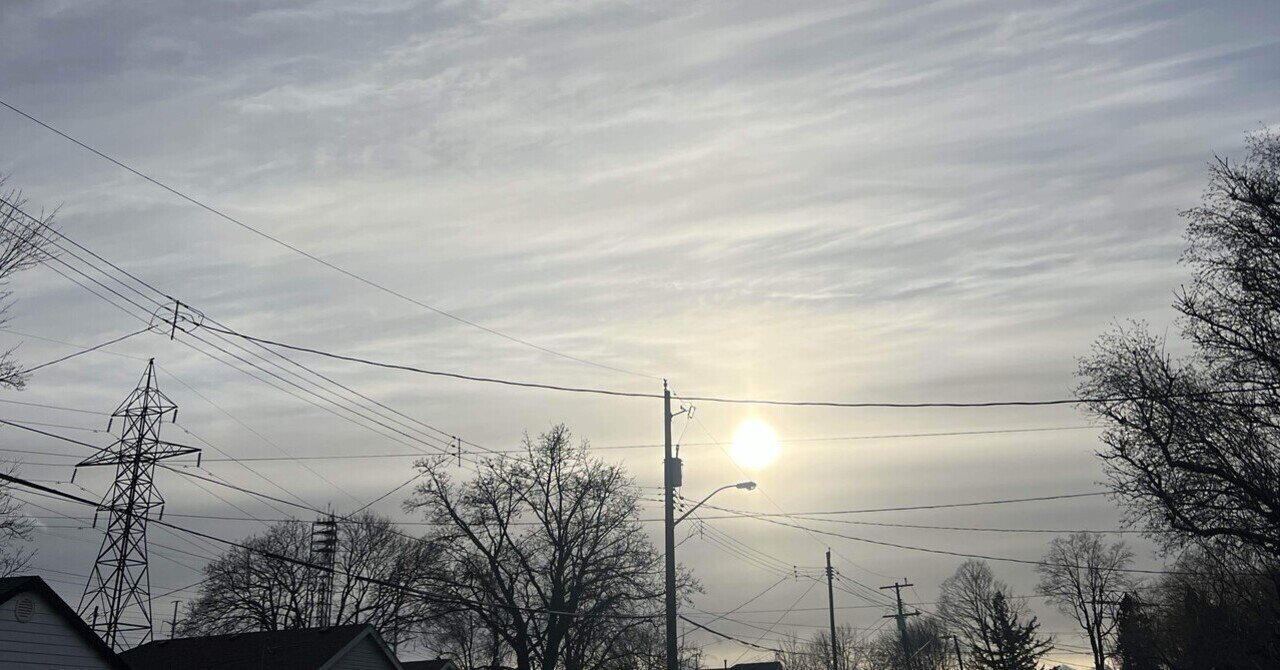 2025🌍【トロントライフ#31】Day54｜🇨🇦Mei in Toronto