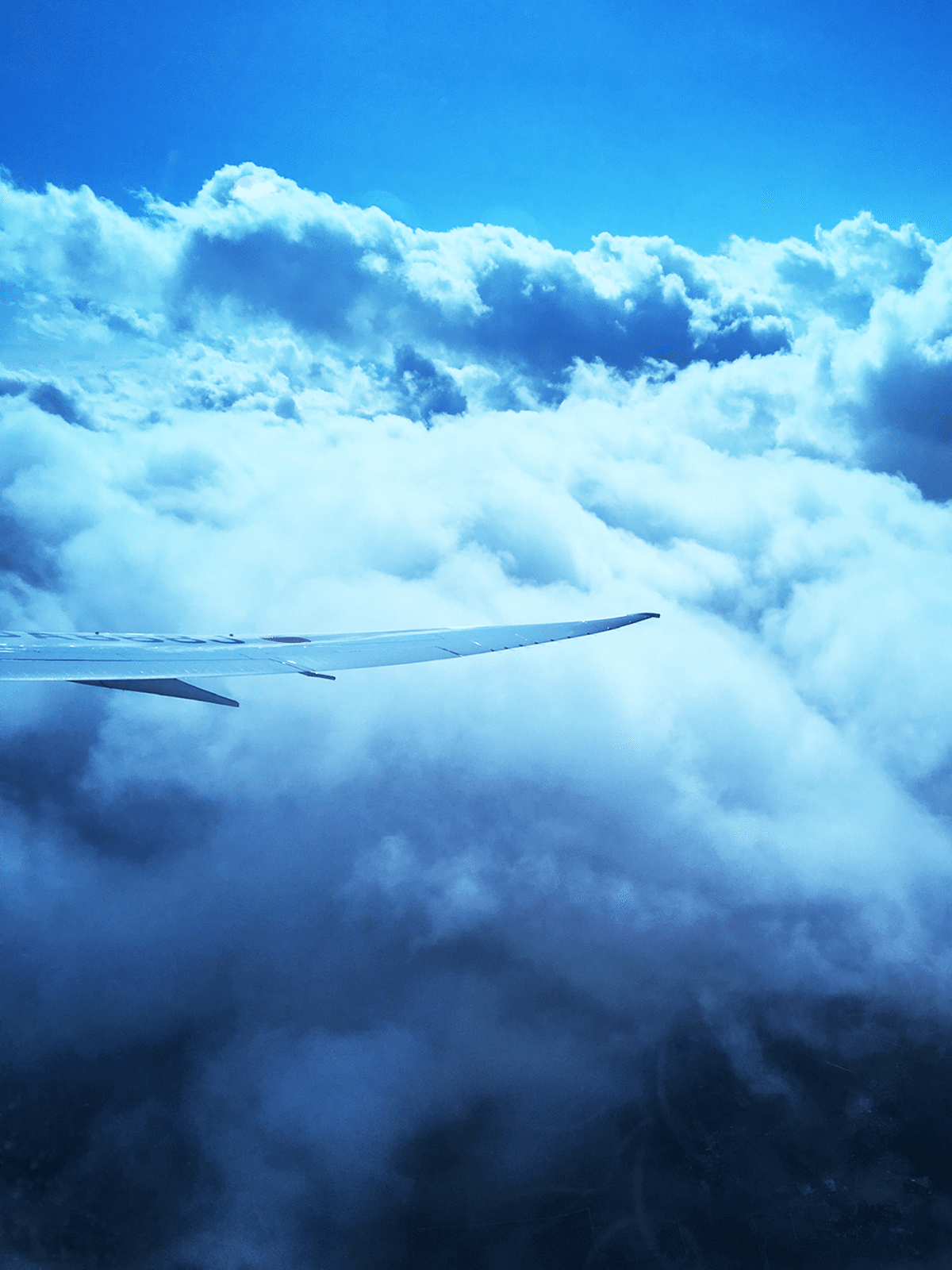 インド旅①｜hiraco （artriplants）