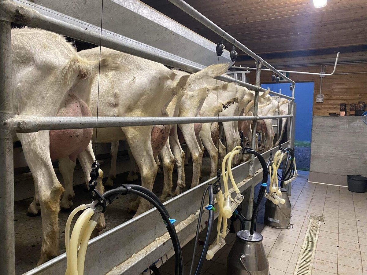 ふりかえり'23&'24、この2年のHard things｜城 拓 / Hiroshi Jo