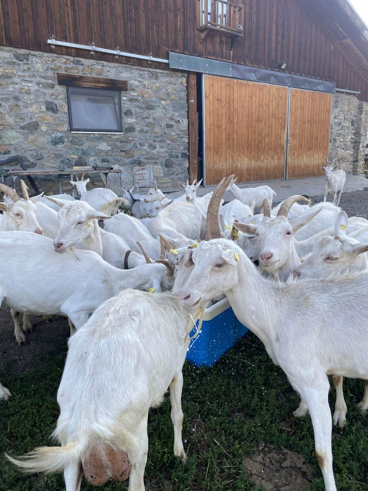 ふりかえり'23&'24、この2年のHard things｜城 拓 / Hiroshi Jo