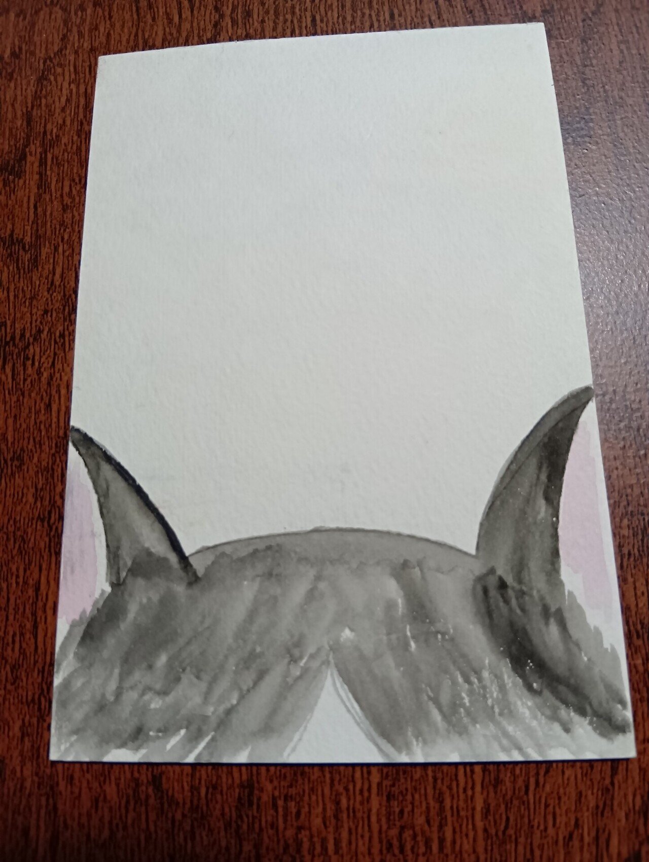 miyukitty日記2025NO18｜miyukitty