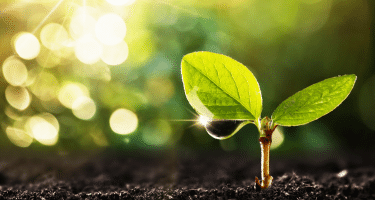 HARUKIの光テラス｜HARUKI