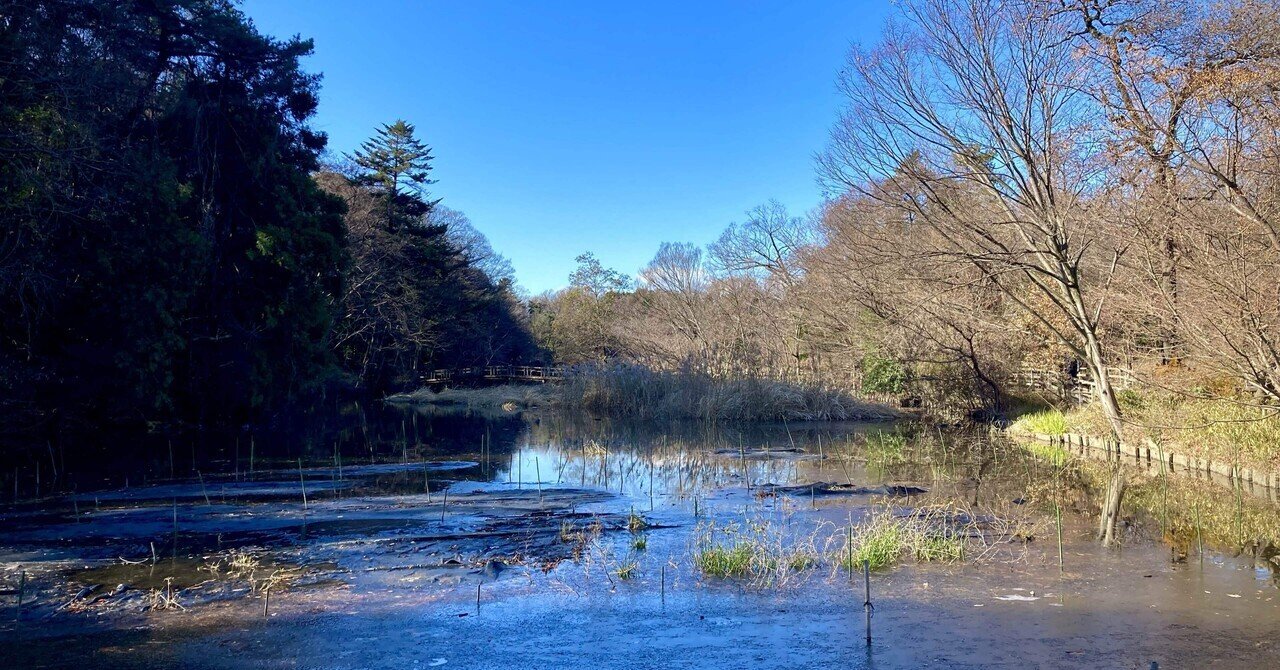 何かを描く人 Chapter 13 （570字ほど）｜有