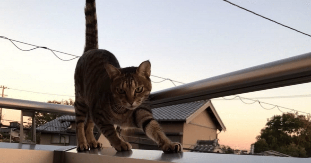 noteはじめます。スタートアップオタク仲間作るぞ。｜森 大輝（Daiki Mori）