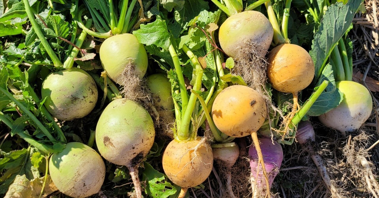 1/4日常の風景｜mayamoon