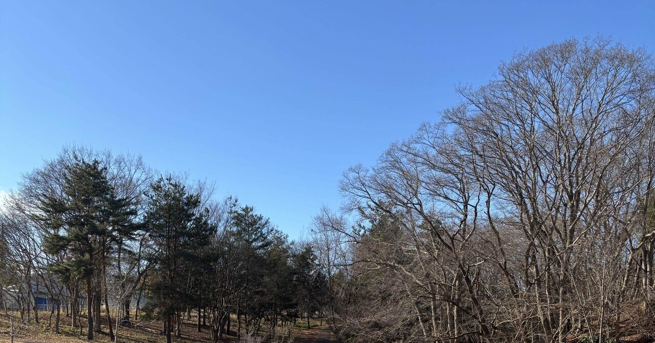 2025書き始め｜sawa