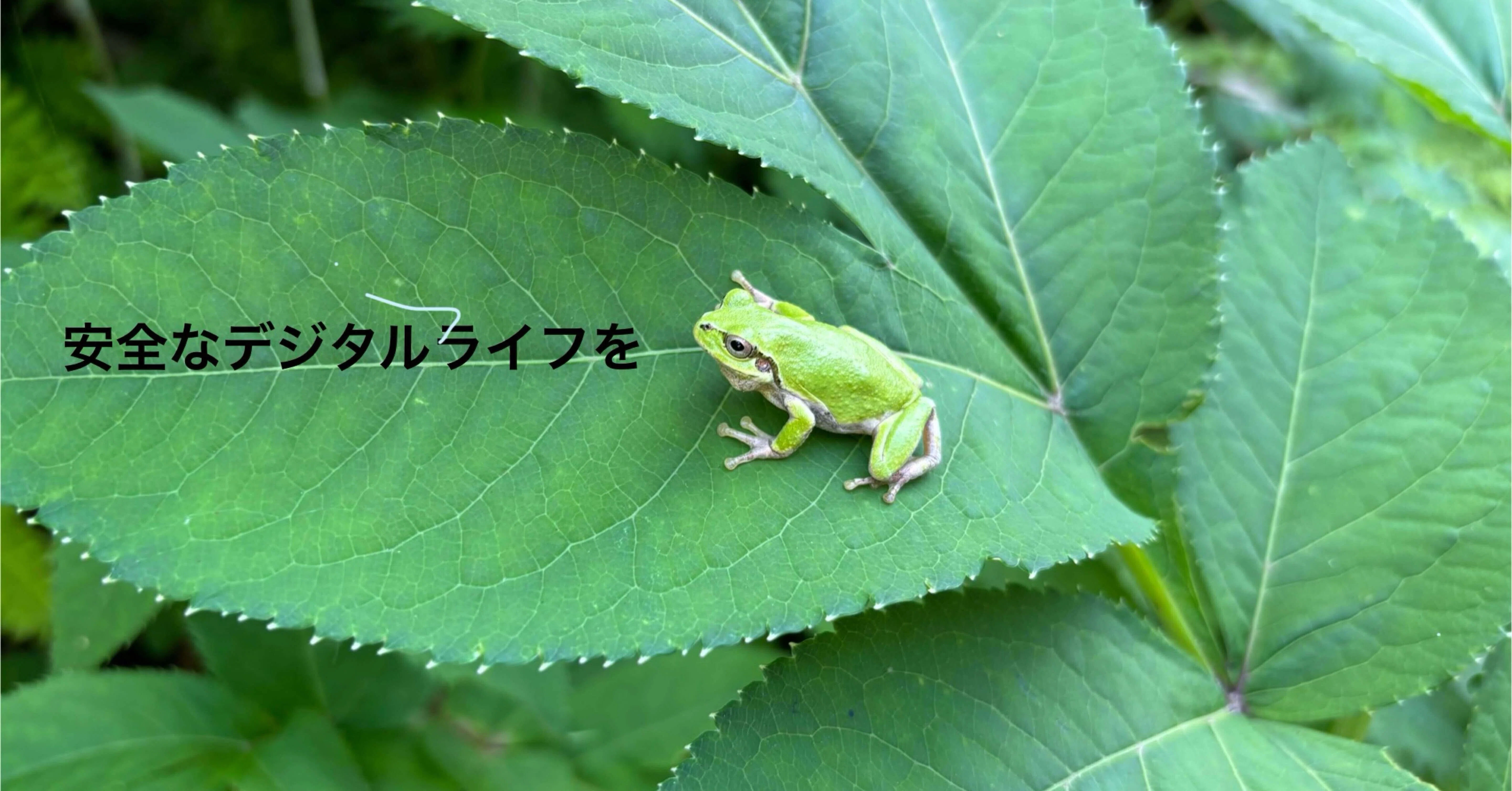 Masaki Satoh｜note