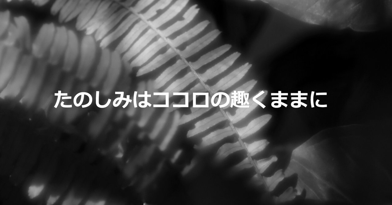 たのしみは、ニコンのオールドレンズでMonochrome Portrait Photography ｜Kamail