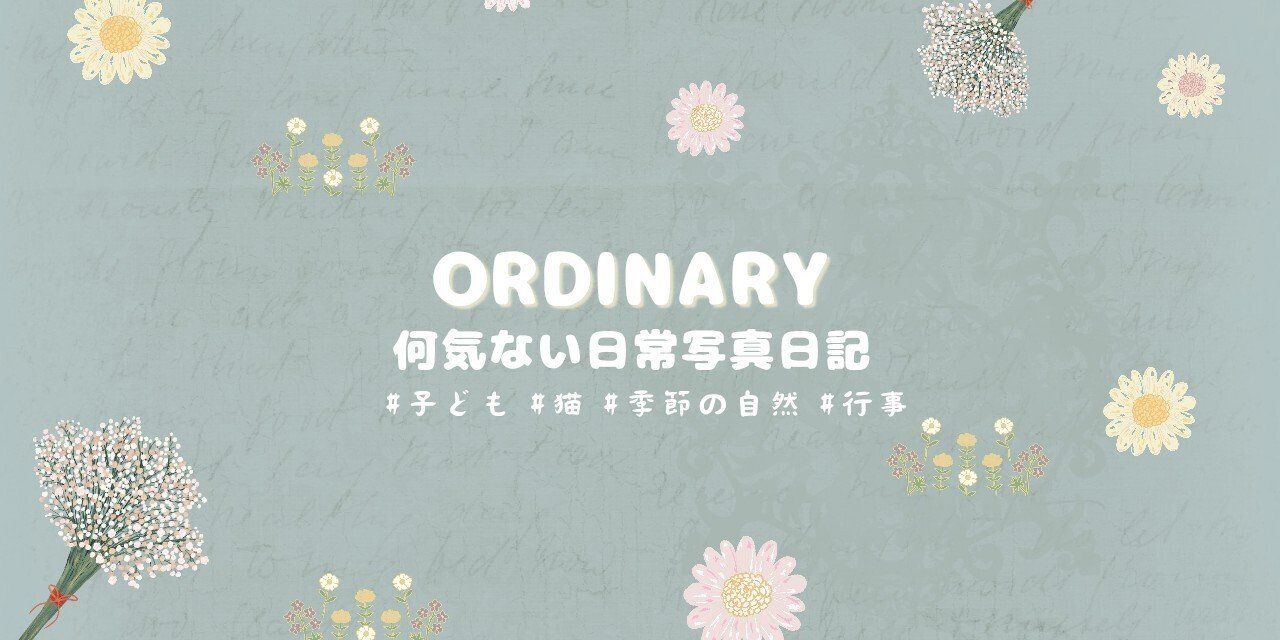 Ordinary｜あさひ*｜note