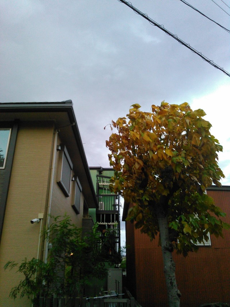 隙間と小路を探して～画像集34｜ichiro70