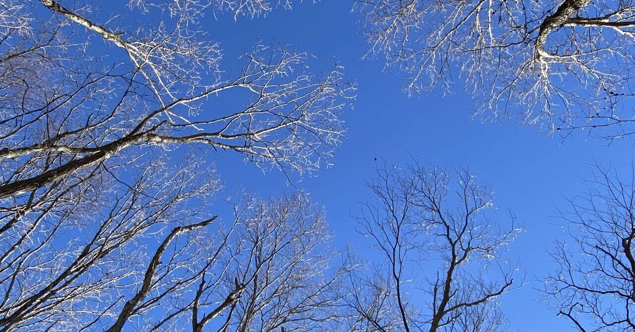 忘れるということ｜sawa