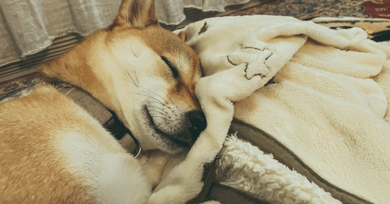 【生活】レシピ本が明暗をわける｜723nk