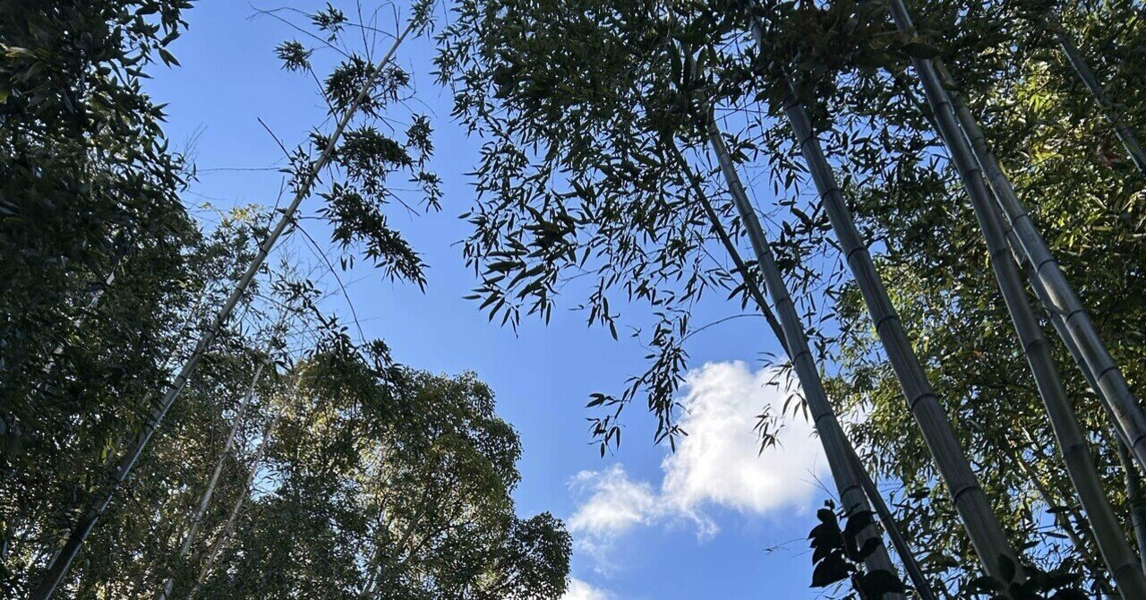 失敗はこわくない｜RISA