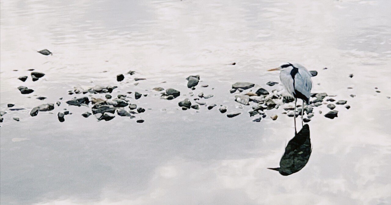 2025年1月｜K.zaki