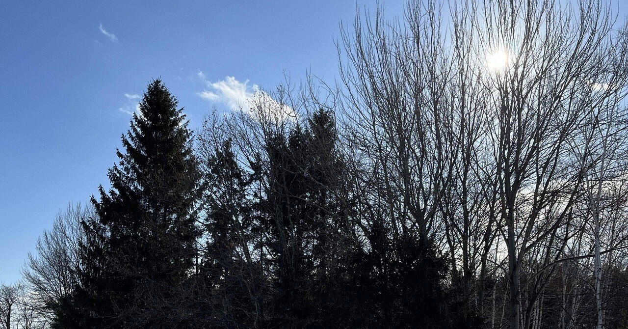 いいお休みでした｜shun sun