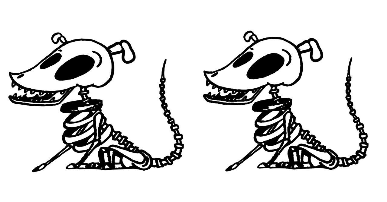 今年の目標｜Sota BamBron