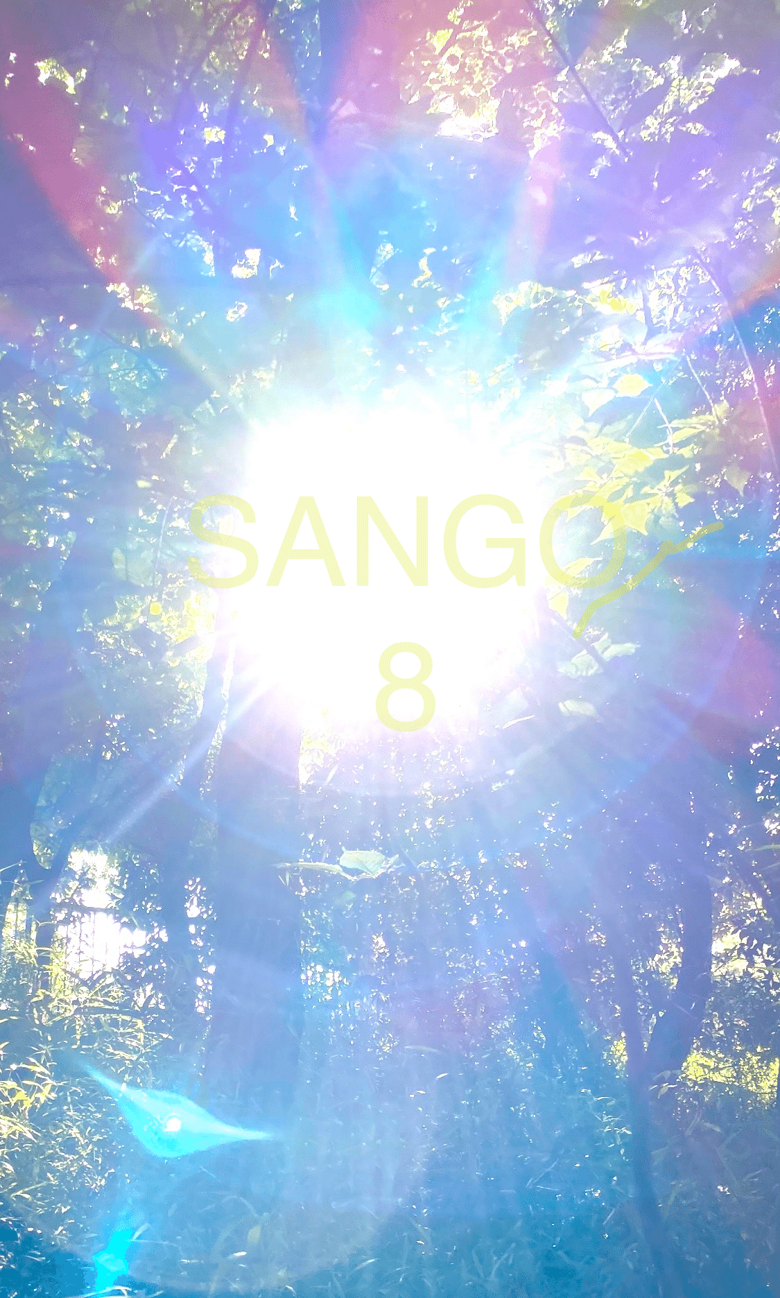 朝日を浴びましょう｜SANGO_8