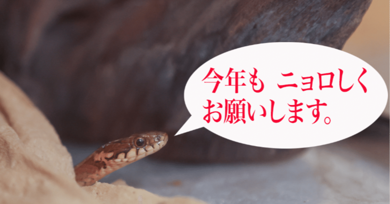 あけましておめでとうございます。｜Hackai Watanabe