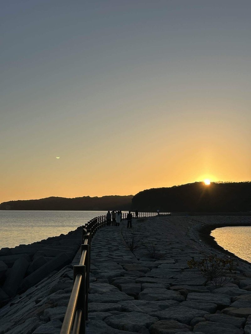 タミシオシ大chan｜note