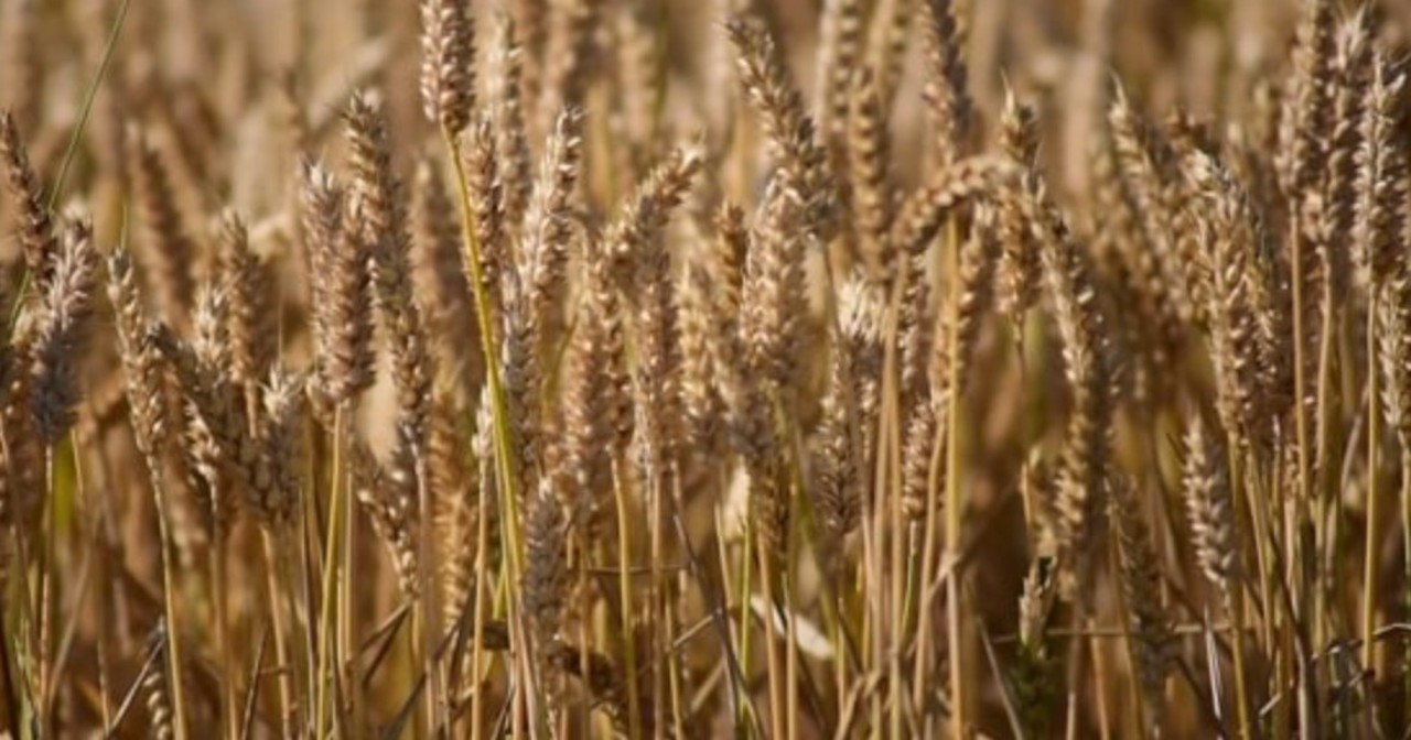 音と映像｜racoco