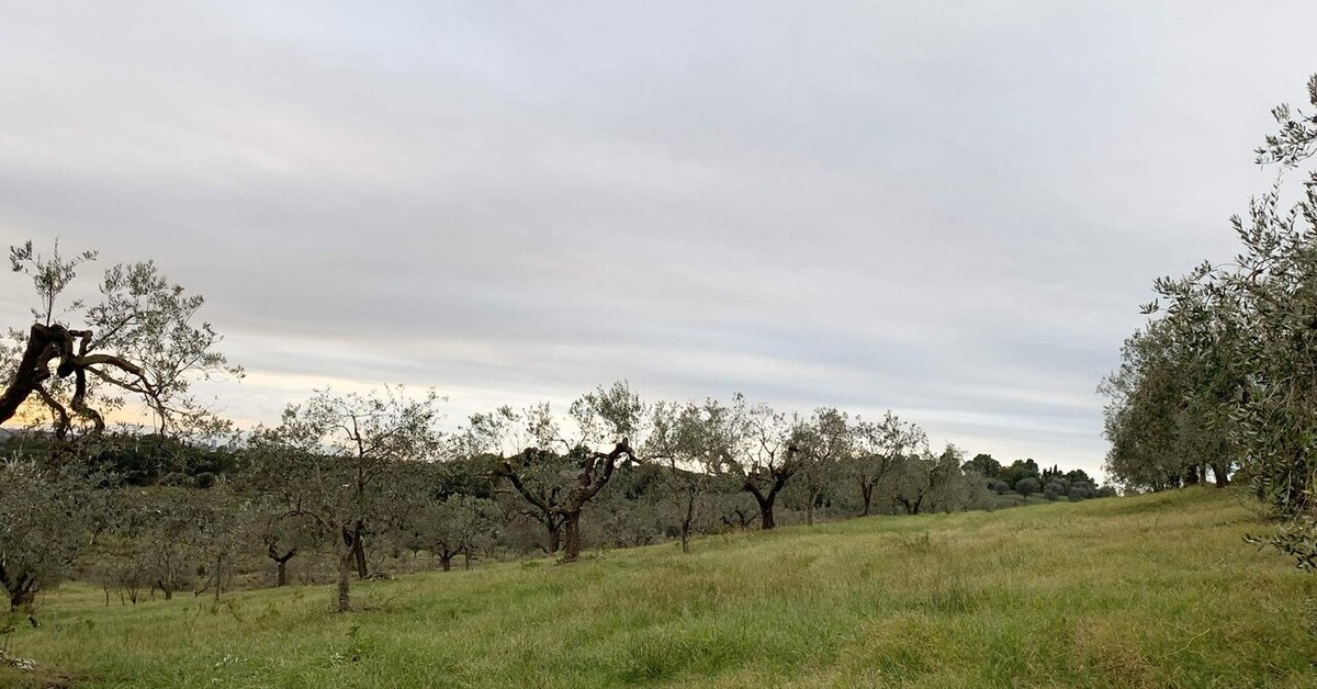 新たなる挑戦 2025｜OTA YUKI